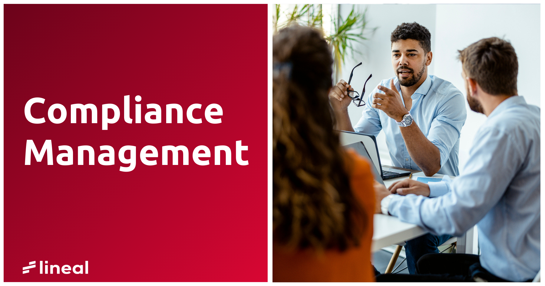 Compliance Management - Lineal