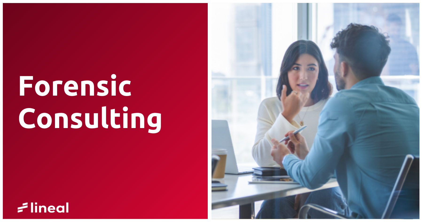 Forensic Consulting - Lineal